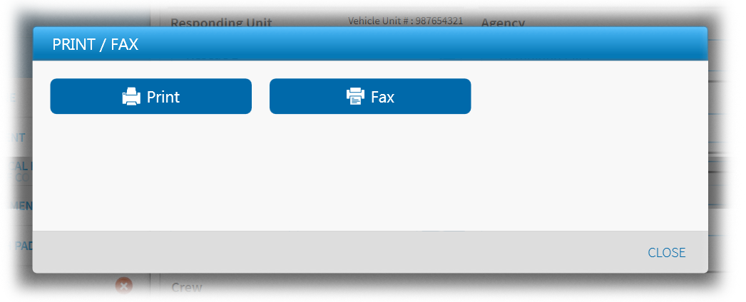 Print a Run Record – TripTix